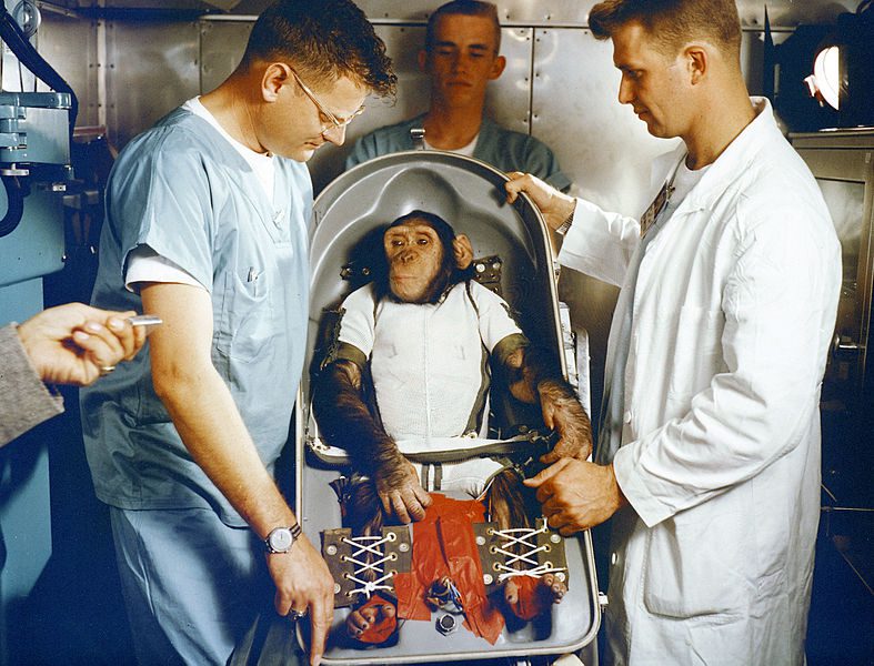 Great ape protection act | Virology Blog