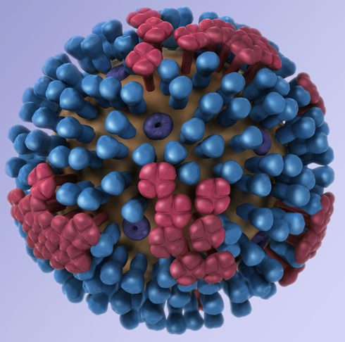 Effectiveness of this season's influenza vaccine | Virology Blog