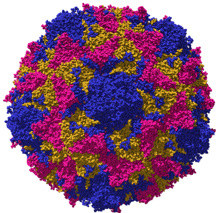 virology blog – Page 101 – About viruses and viral disease