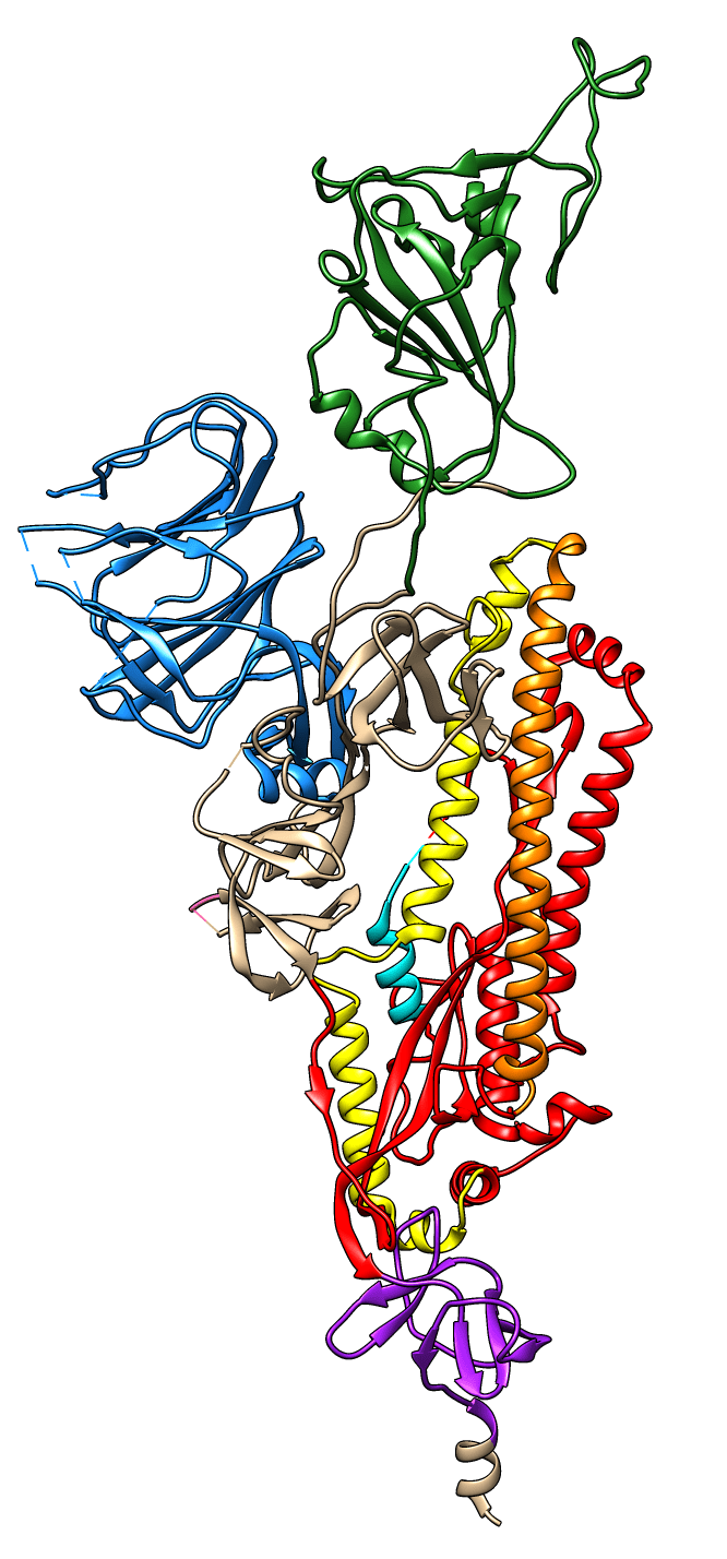 SARS-CoV-2 variants of concern | Virology Blog